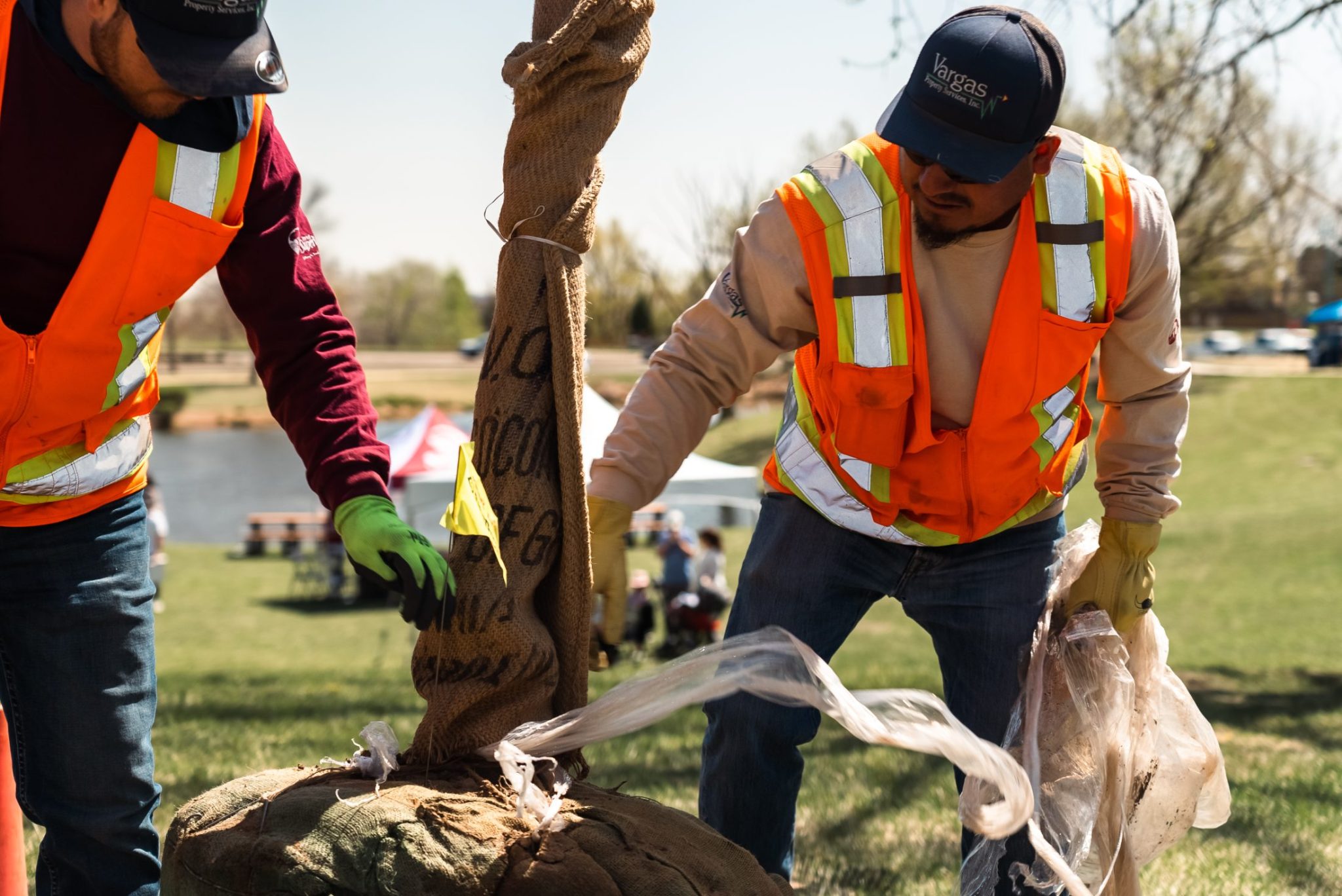 Planting Trees Correctly - Vargas Property Services