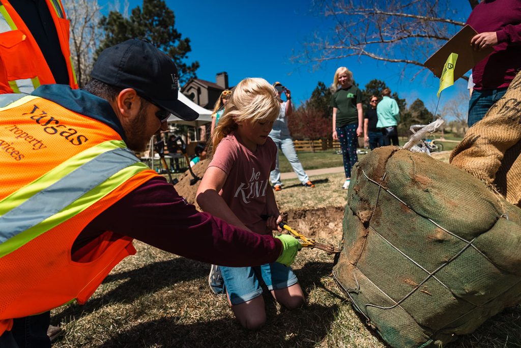 Commercial Services - Vargas Property Services