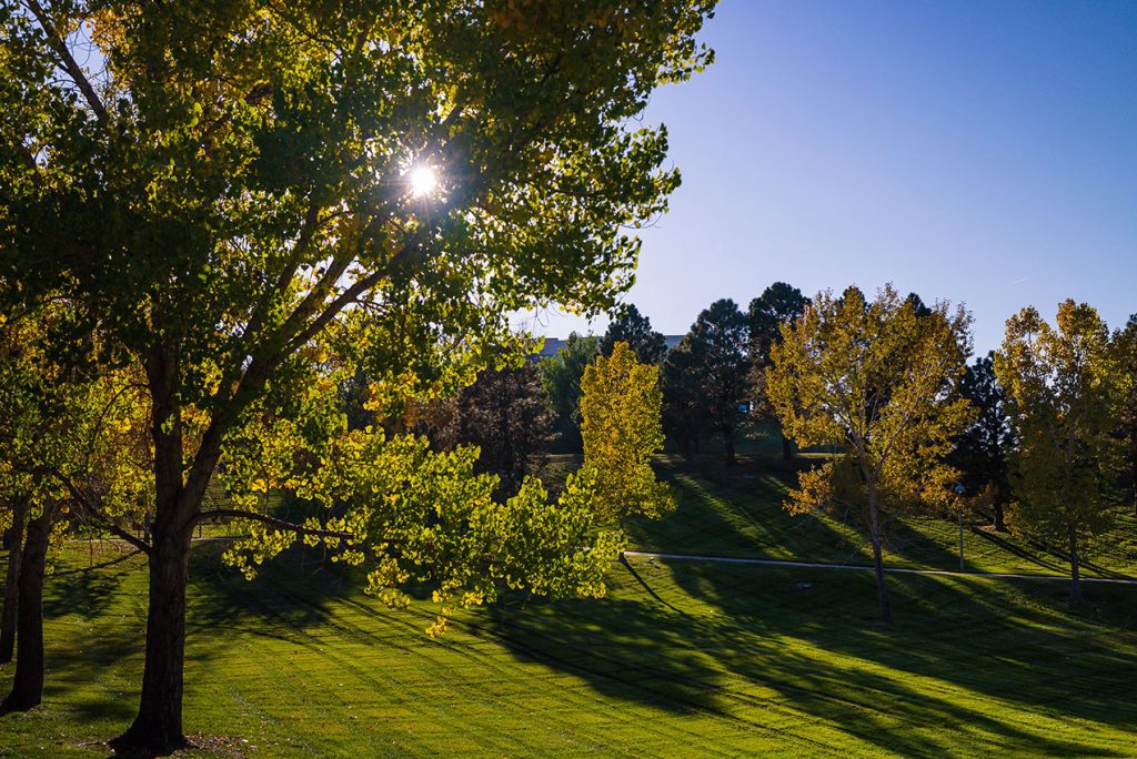 Commercial Services - Vargas Property Services